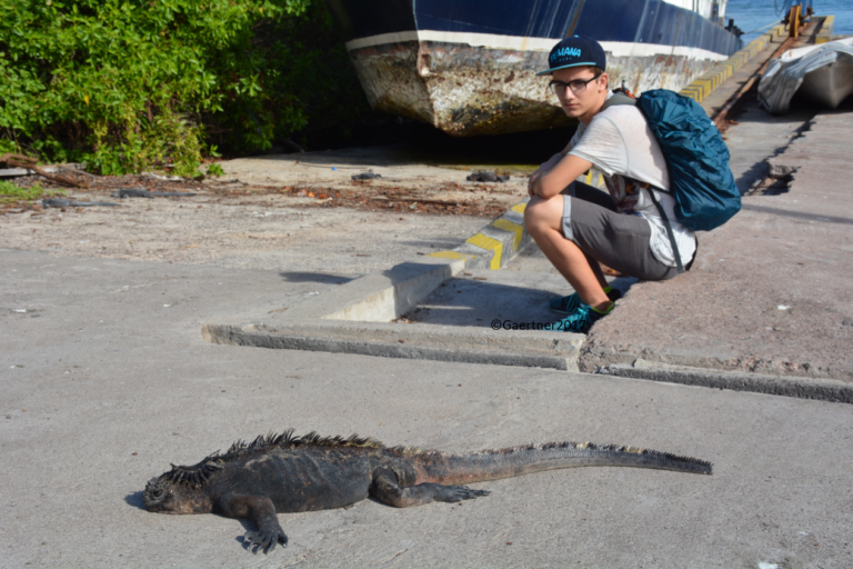 Destination Pacifique – Le blog de Alexandre Gaertner