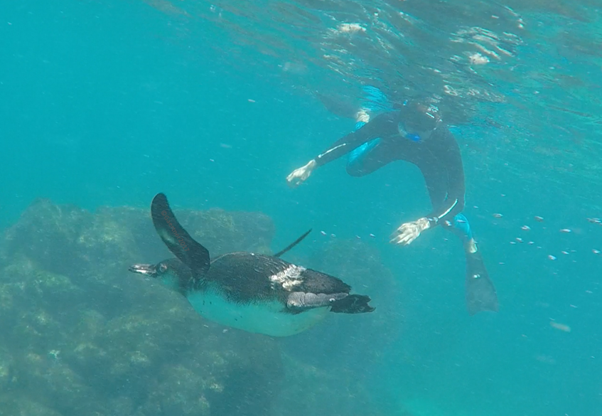 Destination Pacifique – Le blog de Alexandre Gaertner