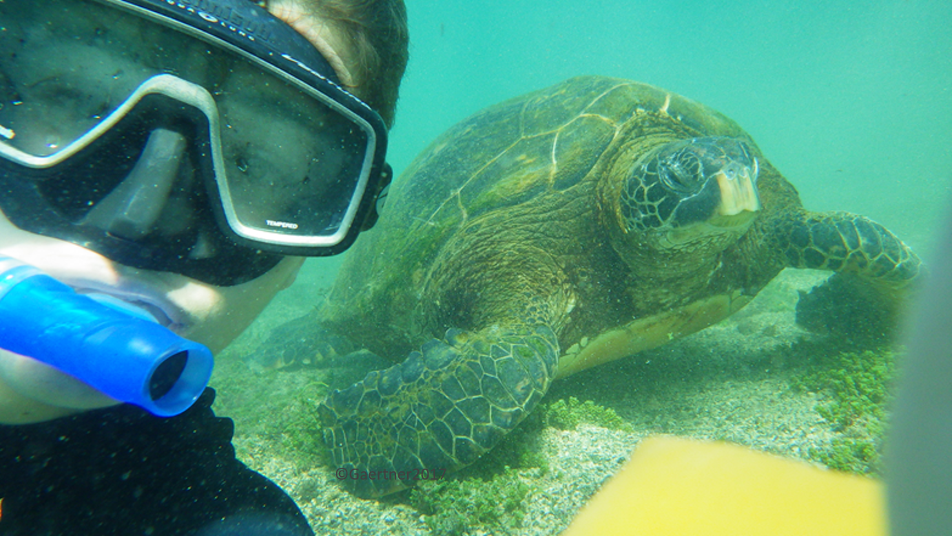 Destination Pacifique – Le blog de Alexandre Gaertner