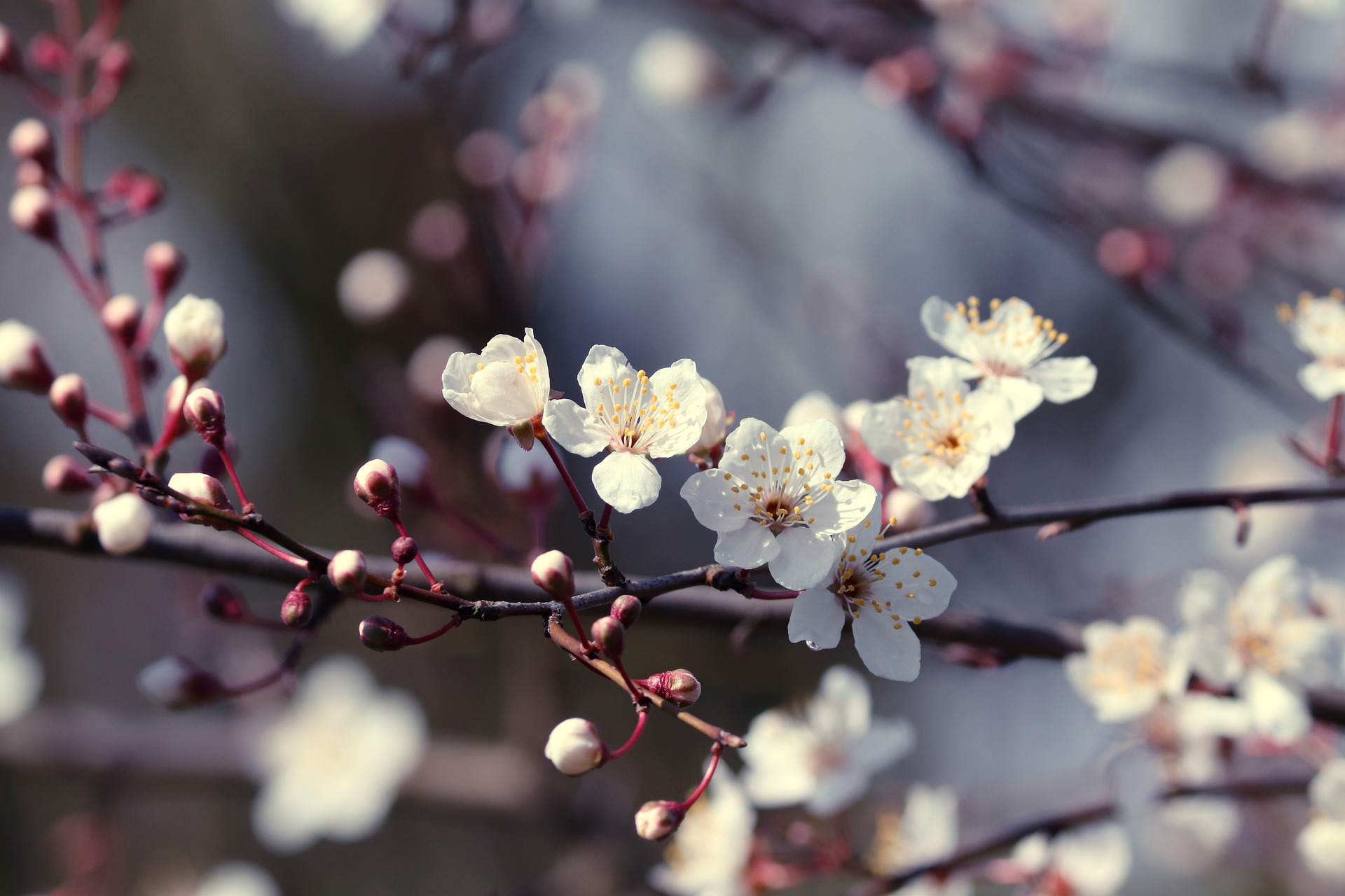 Le mois de janvier le plus chaud de l’Histoire – Le climat aujourd'hui ...